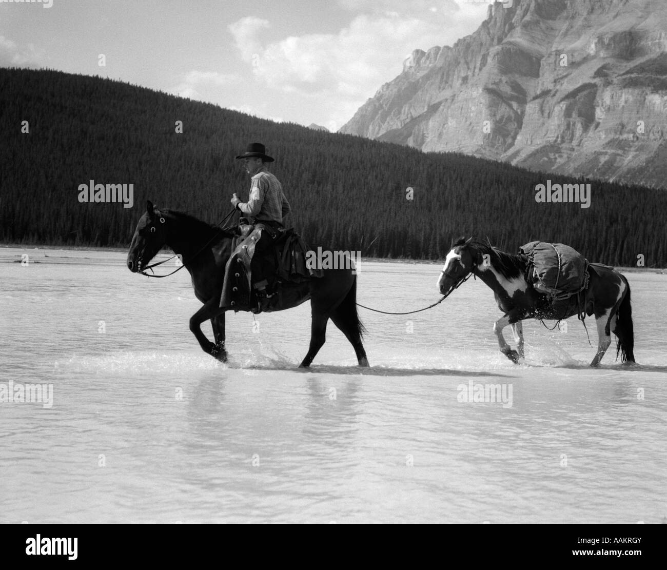 1940s COWBOY ON HORSEBACK CROSSING RIVER WITH 2ND HORSE IN TOW Stock ...