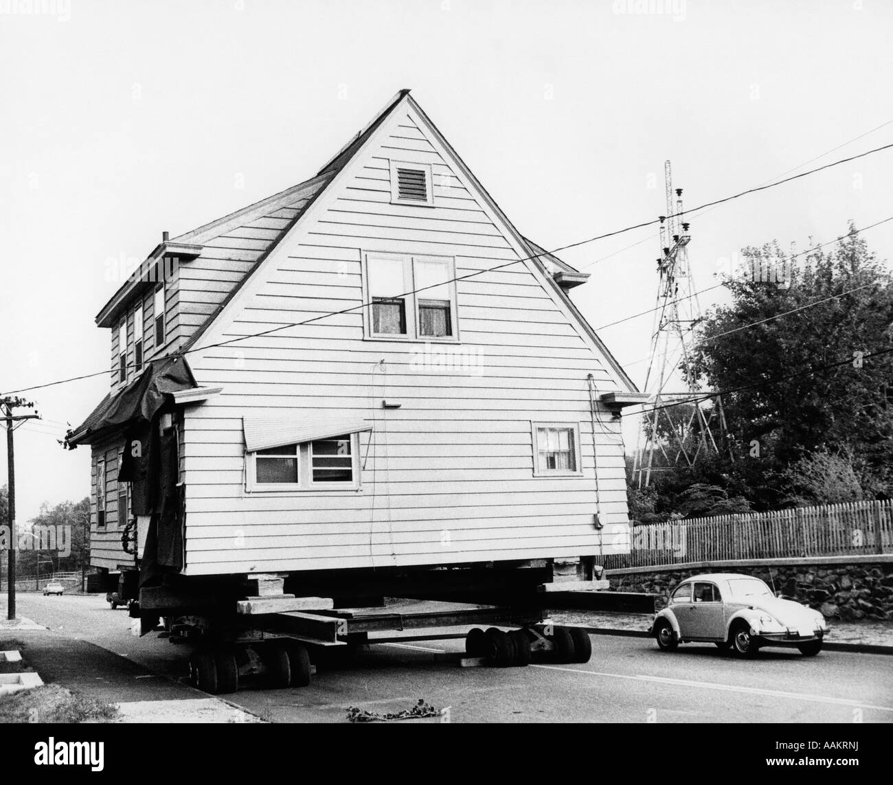 Beetle structure Black and White Stock Photos & Images - Alamy