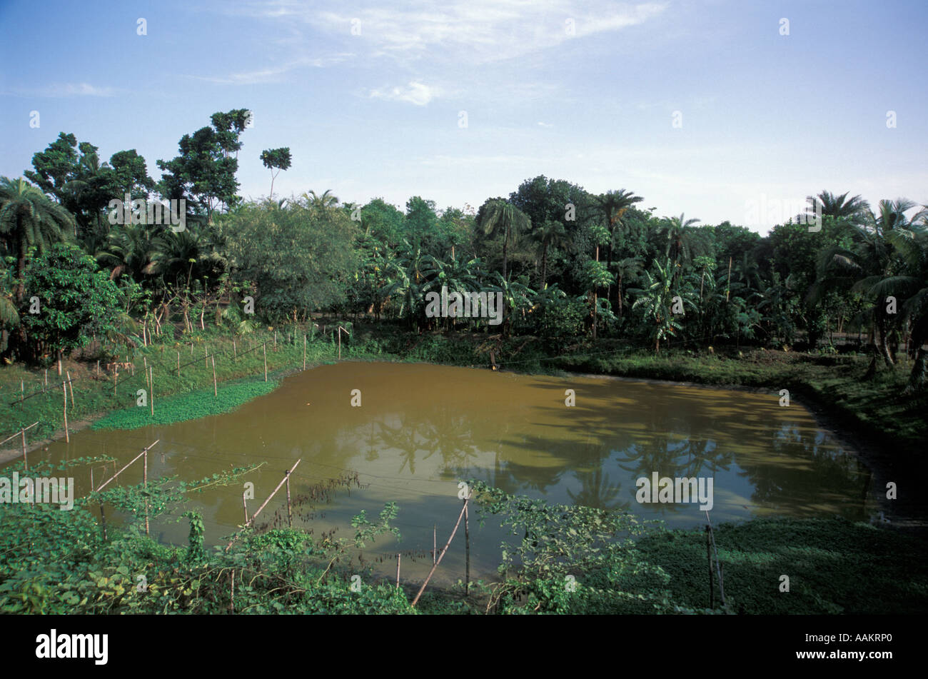 Rural Life – Village Water Tank - ‘Devil’s Water’ ‘Biggest mass ...