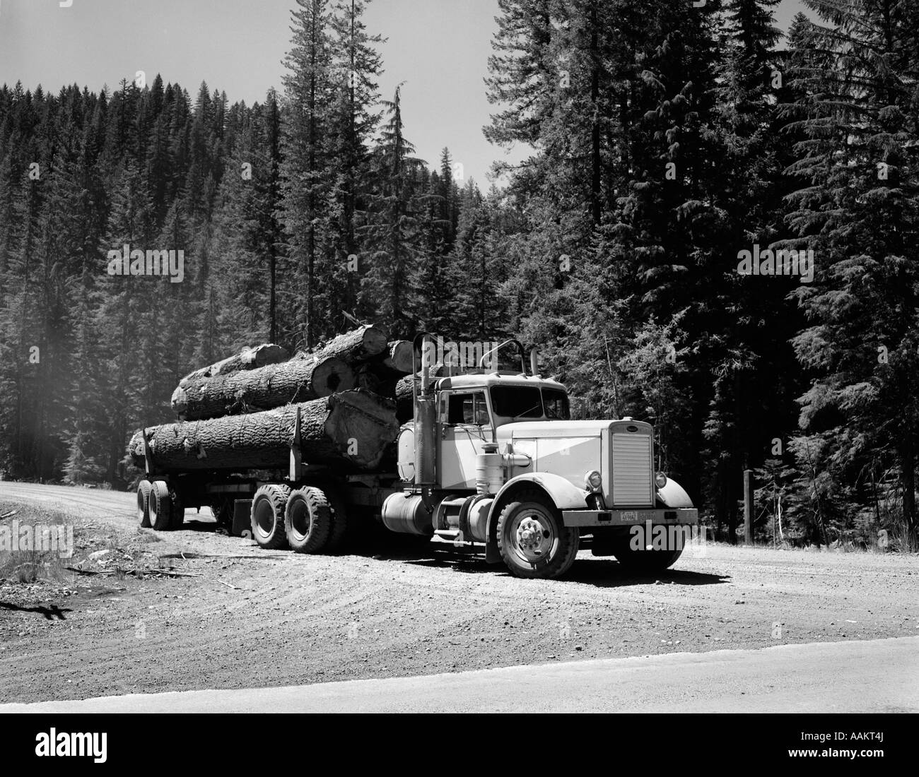 1960s LOGGING TRUCK HAULING LARGE TREE TRUNKS GOING DOWN DIRT ROAD IN ...