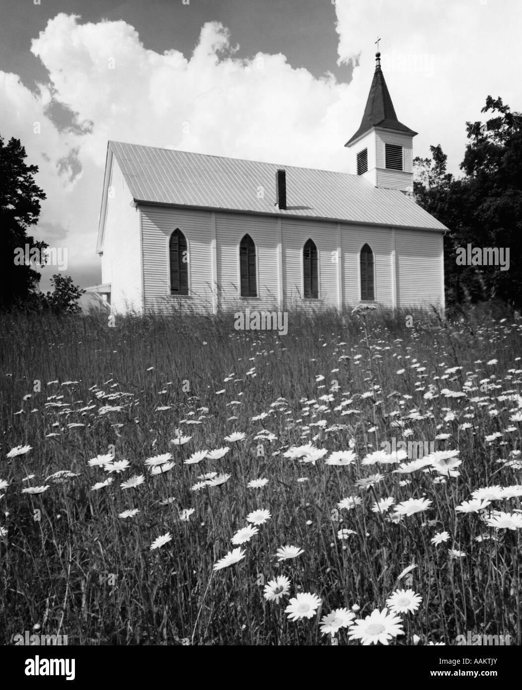 Summer rural field in Black and White Stock Photos & Images - Alamy