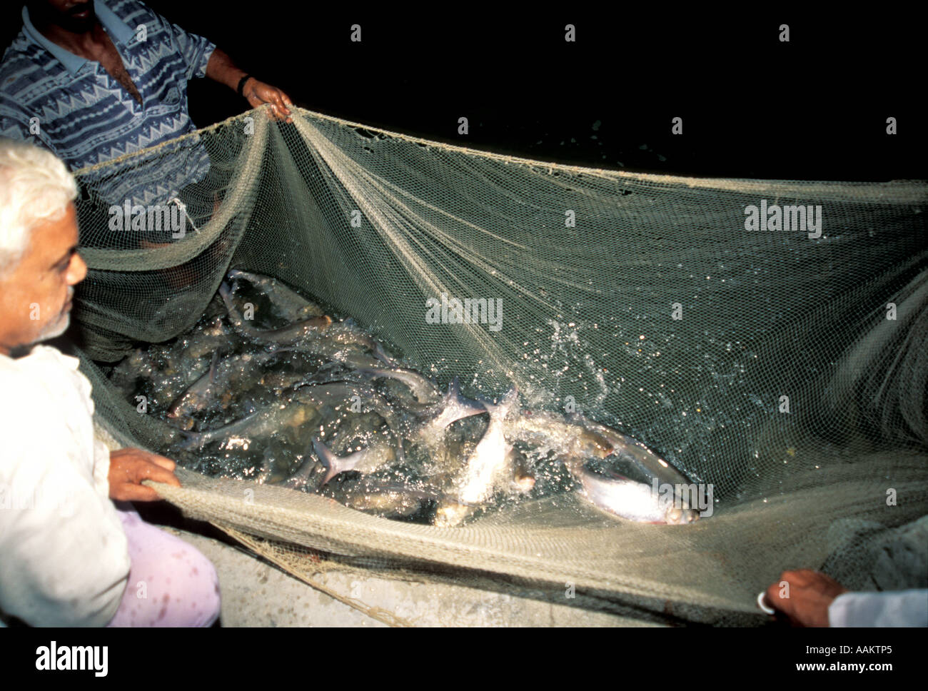 Rural Life – Fish Farm How Safe - ‘Devil’s Water’ ‘Biggest mass ...