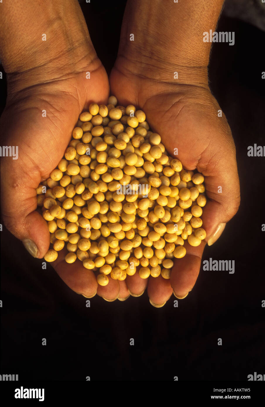Close up multiple hands hi-res stock photography and images - Alamy
