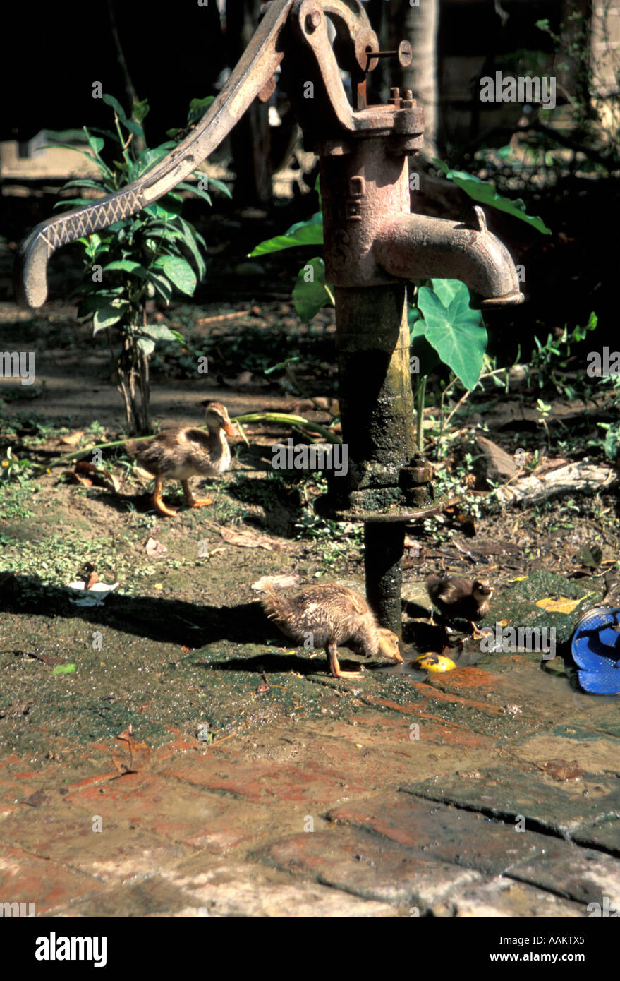 Rural Life – Hand Tube Well - ‘Devil’s Water’ ‘Biggest mass poisoning ...