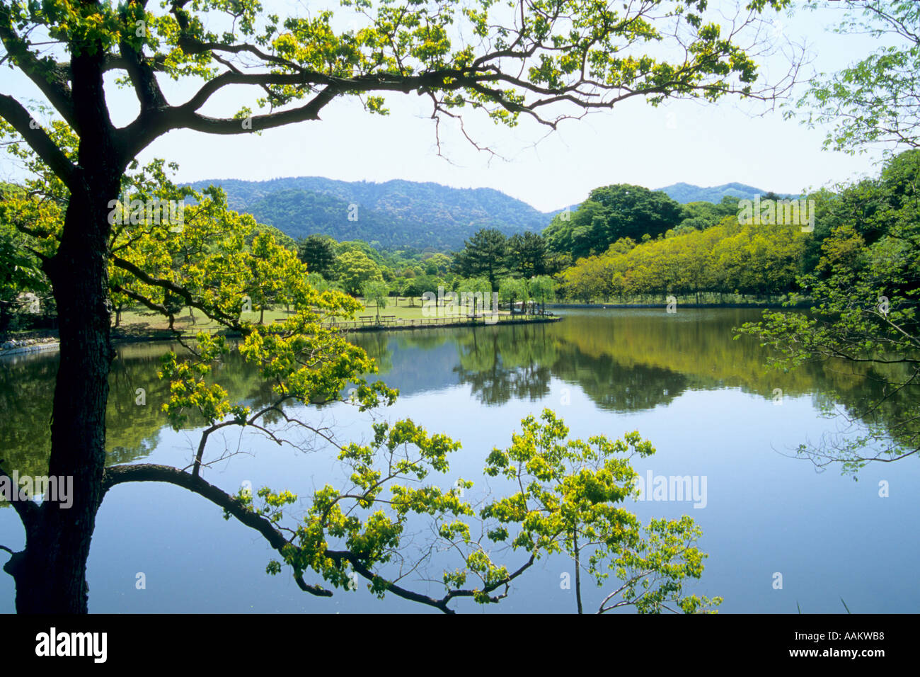 Sagi hi-res stock photography and images - Alamy