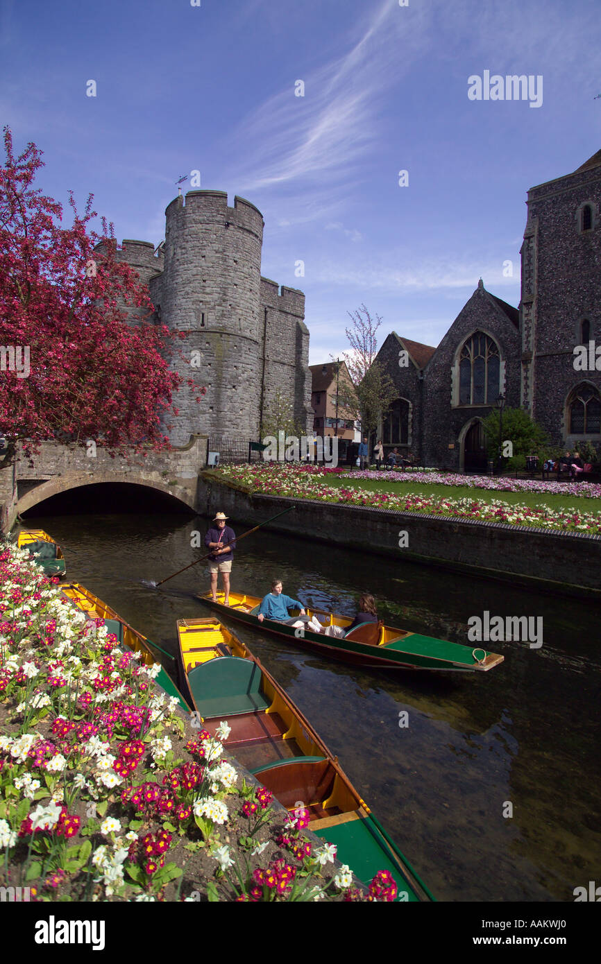 Punting on the river stour Canterbury Kent Stock Photo - Alamy