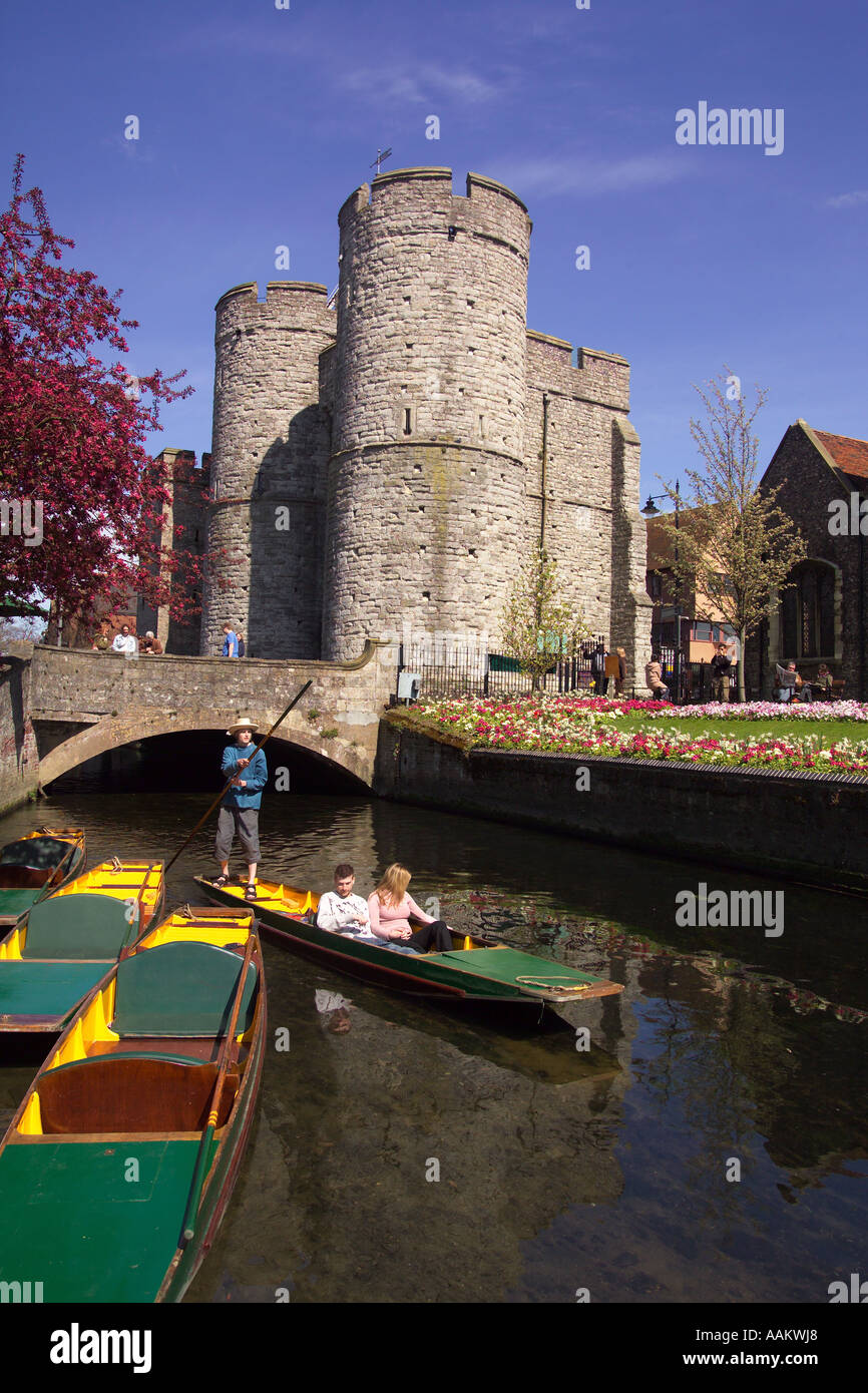 Punting on the river stour Canterbury kent Stock Photo - Alamy