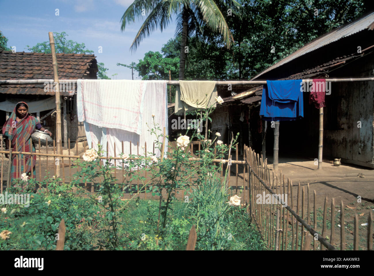 Rural Life – Village Garden - ‘Devil’s Water’ ‘Biggest mass poisoning ...