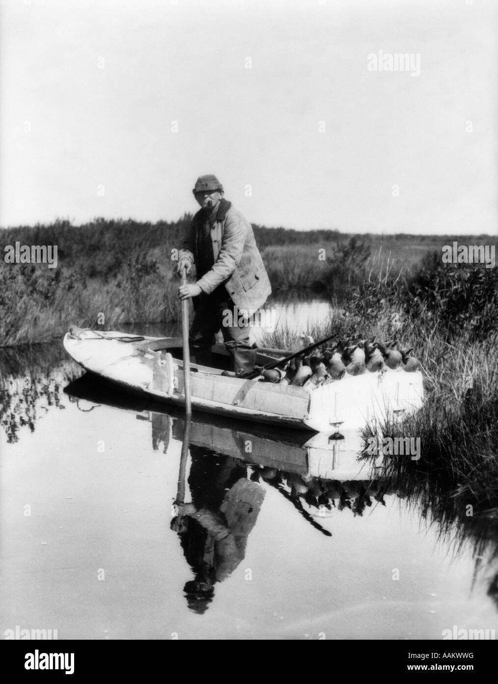 Duck, hunter, 1940s hi-res stock photography and images - Alamy