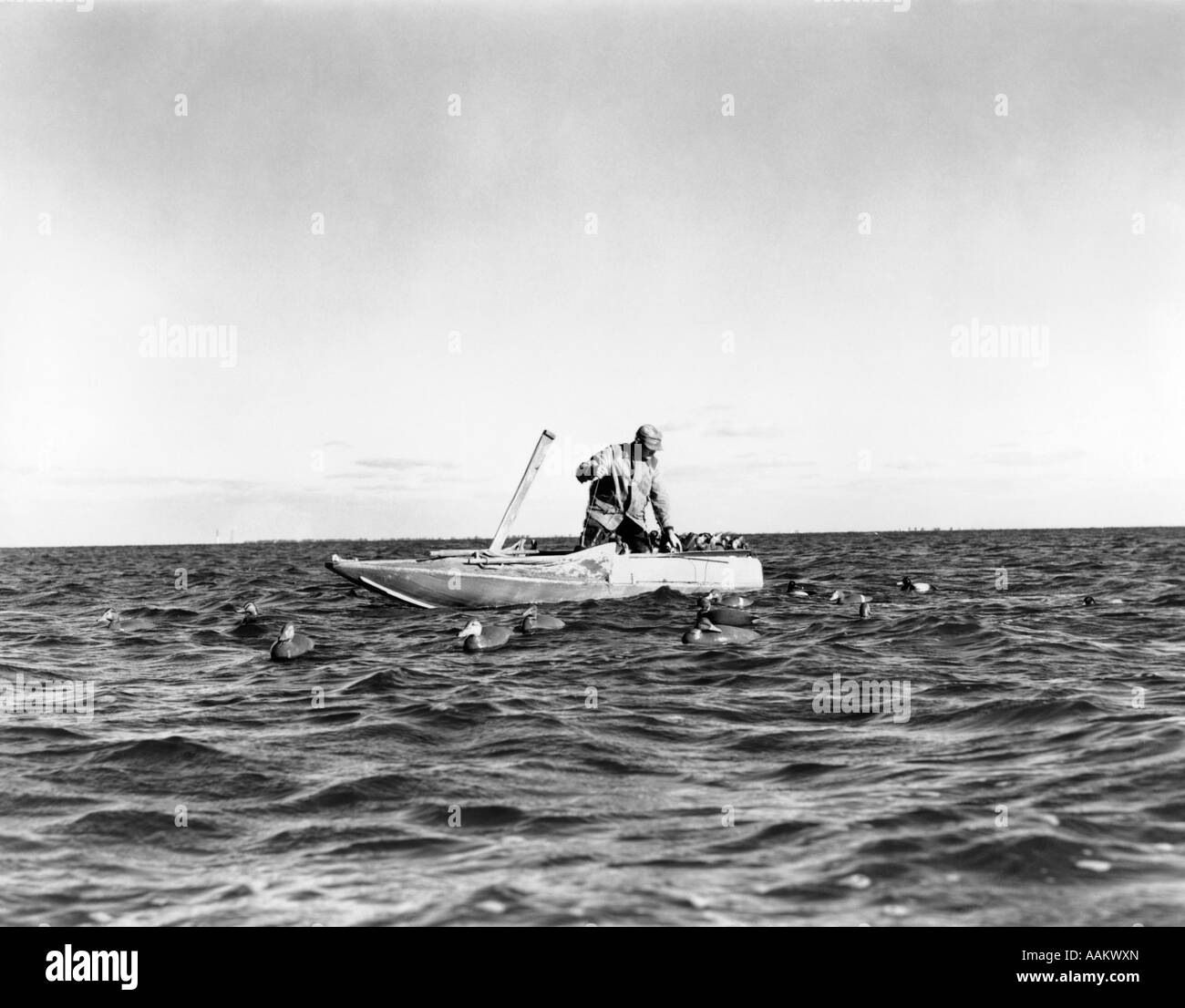 Duck, hunter, 1940s hi-res stock photography and images - Alamy
