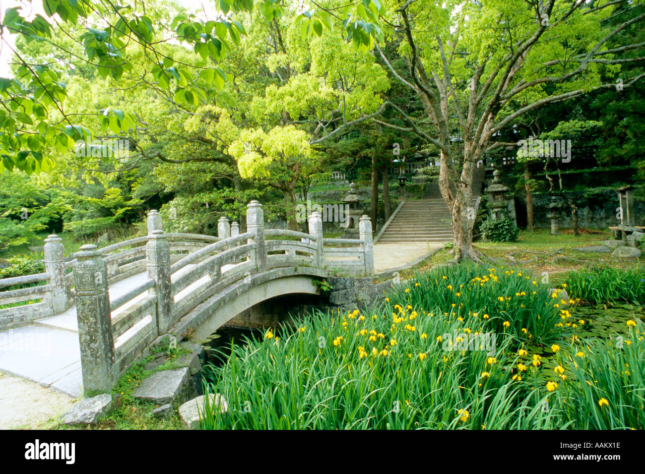 Hagi castle hi-res stock photography and images - Alamy