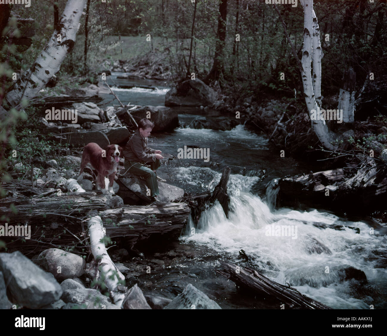 Boy fishing dog hi-res stock photography and images - Alamy