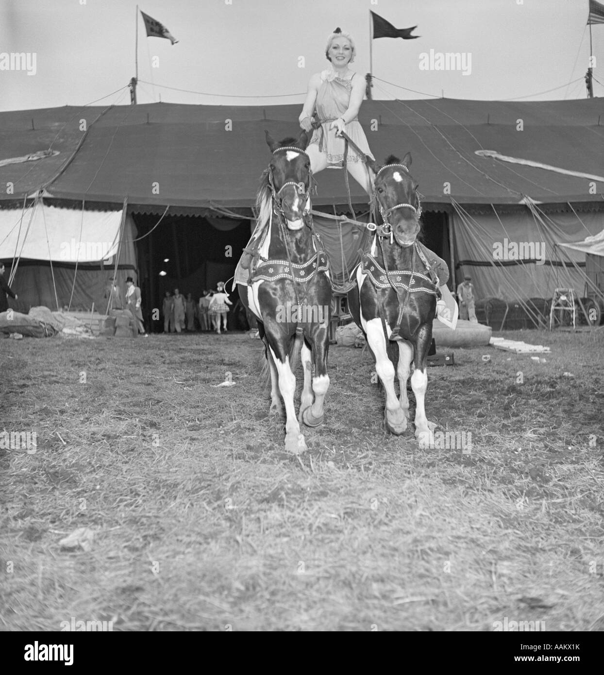 1950s WOMAN CIRCUS PERFORMER RIDING STANDING ASTRIDE TWO HORSES OUTSIDE ...