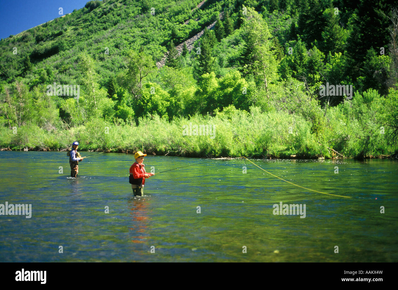 1980s MAN AND BOY FLY FISHING PROVO RIVER UTAH Stock Photo - Alamy