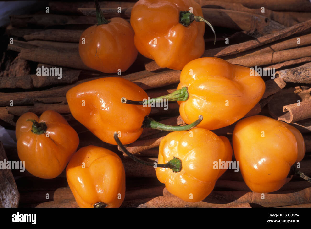 Spice genus hi-res stock photography and images - Alamy