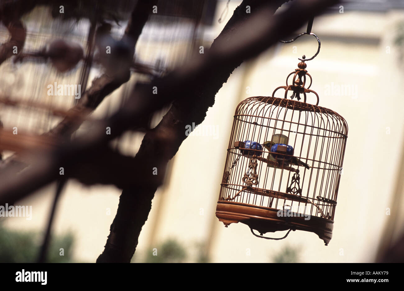 Macau chinese cages Stock Photo - Alamy