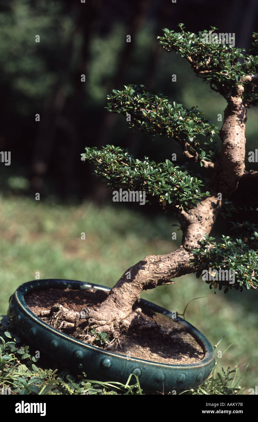 Japan macau hi-res stock photography and images - Alamy