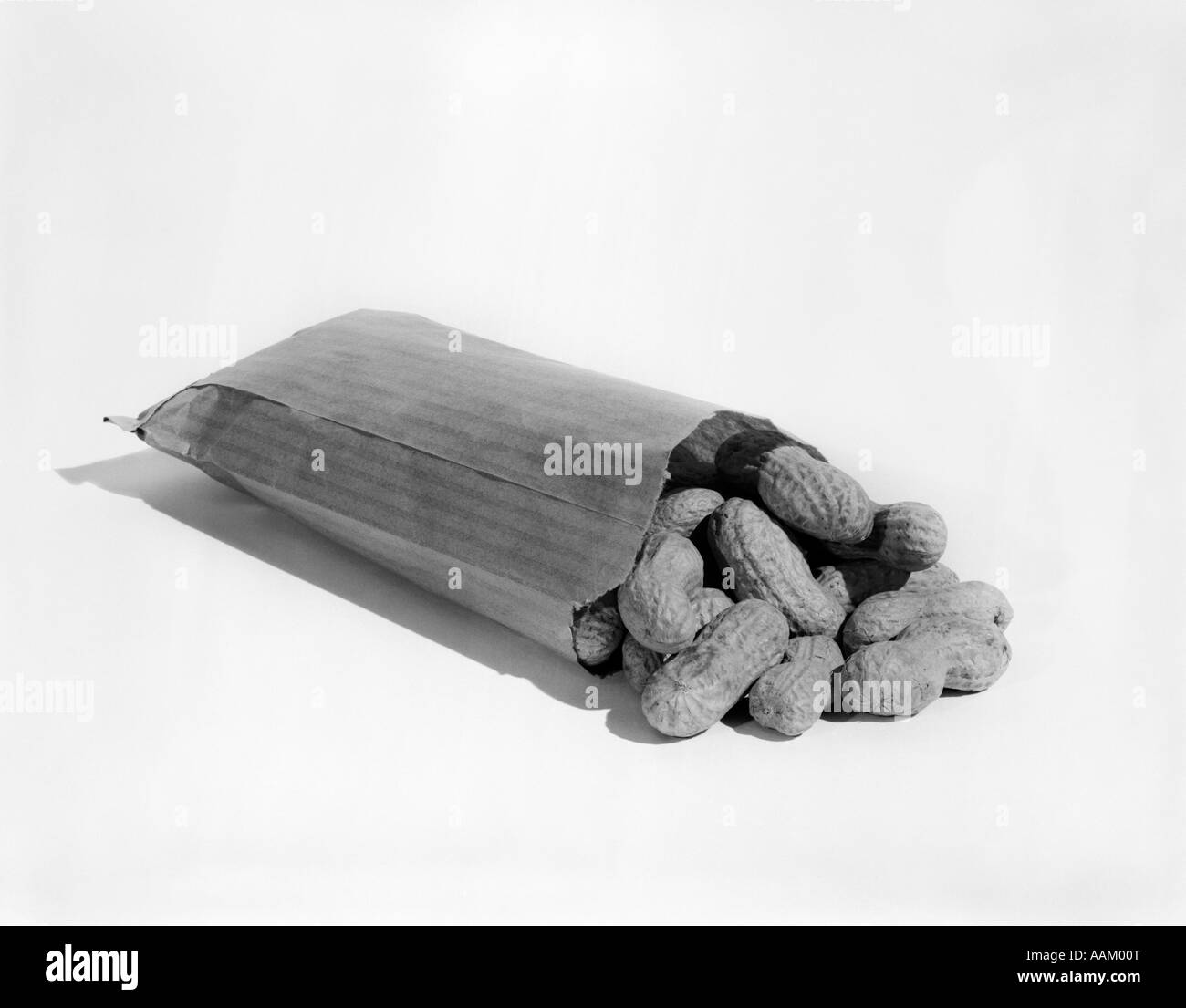 Bag of shells hi-res stock photography and images - Alamy