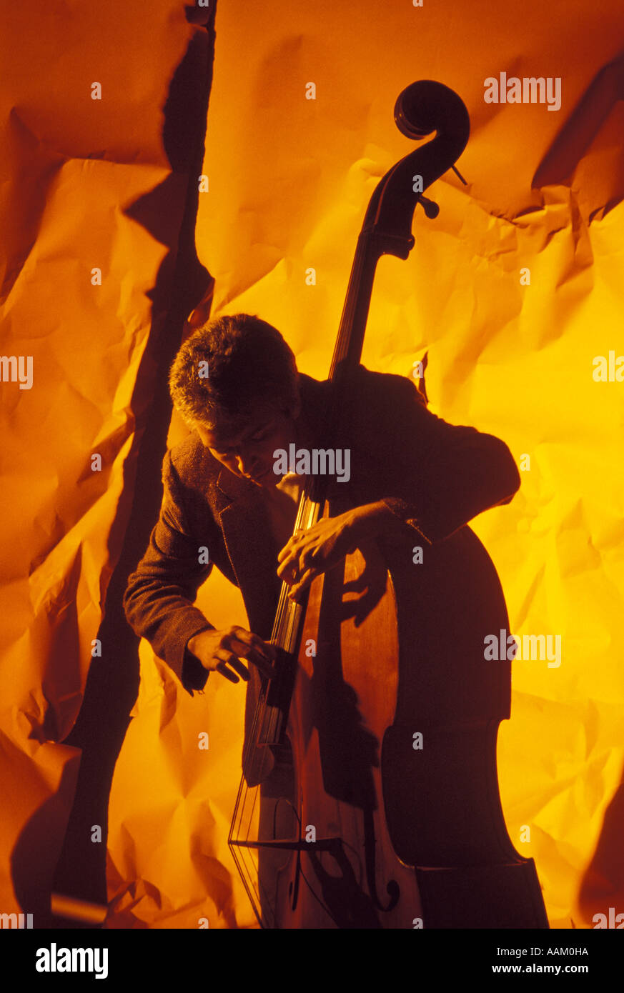 Dodo Ferreira, brazilian musician plays contrabass, double-bass, Brazil ...