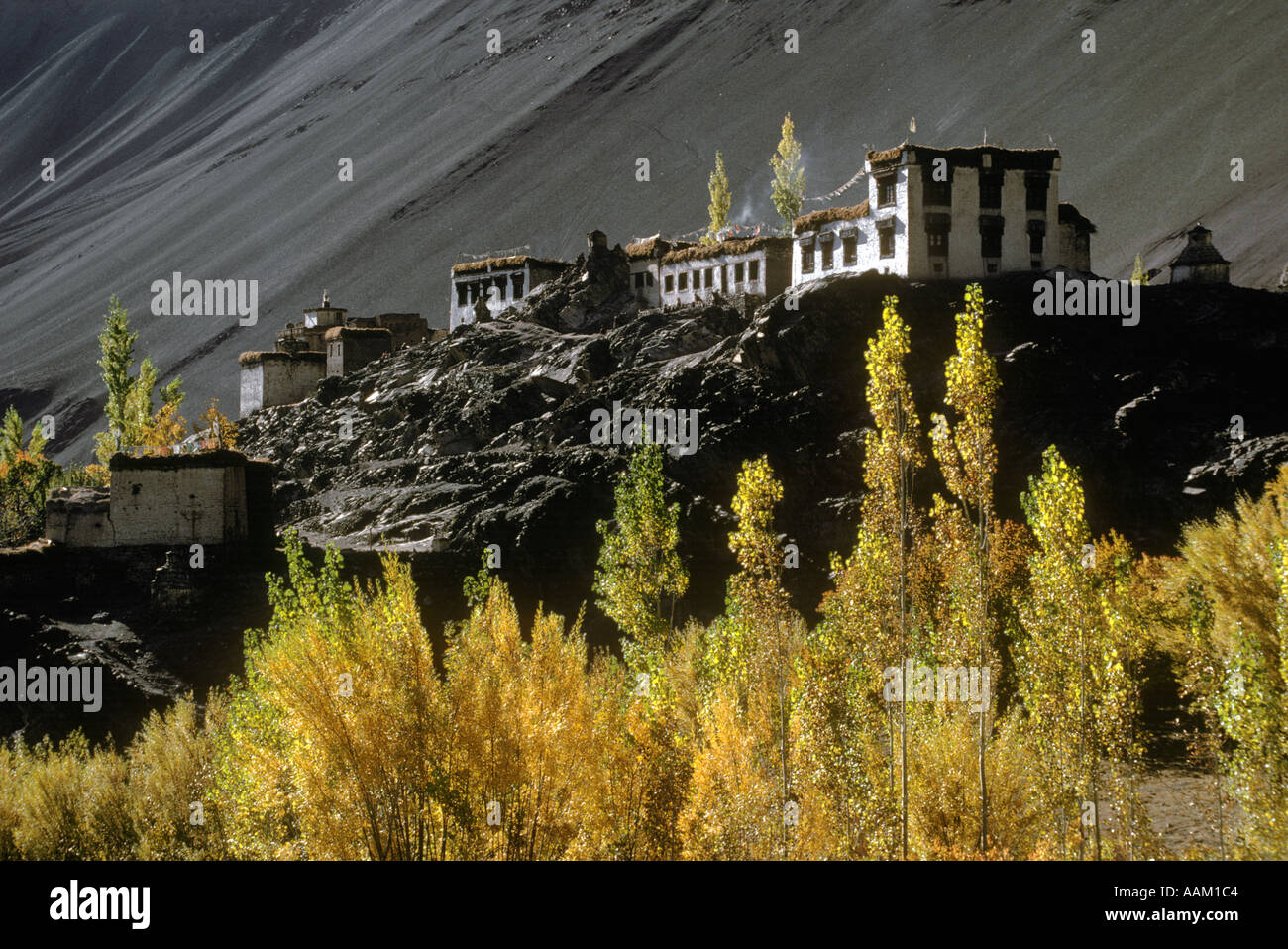 The village of ALCHI and the AUTUMN COLORS of its trees stand out ...