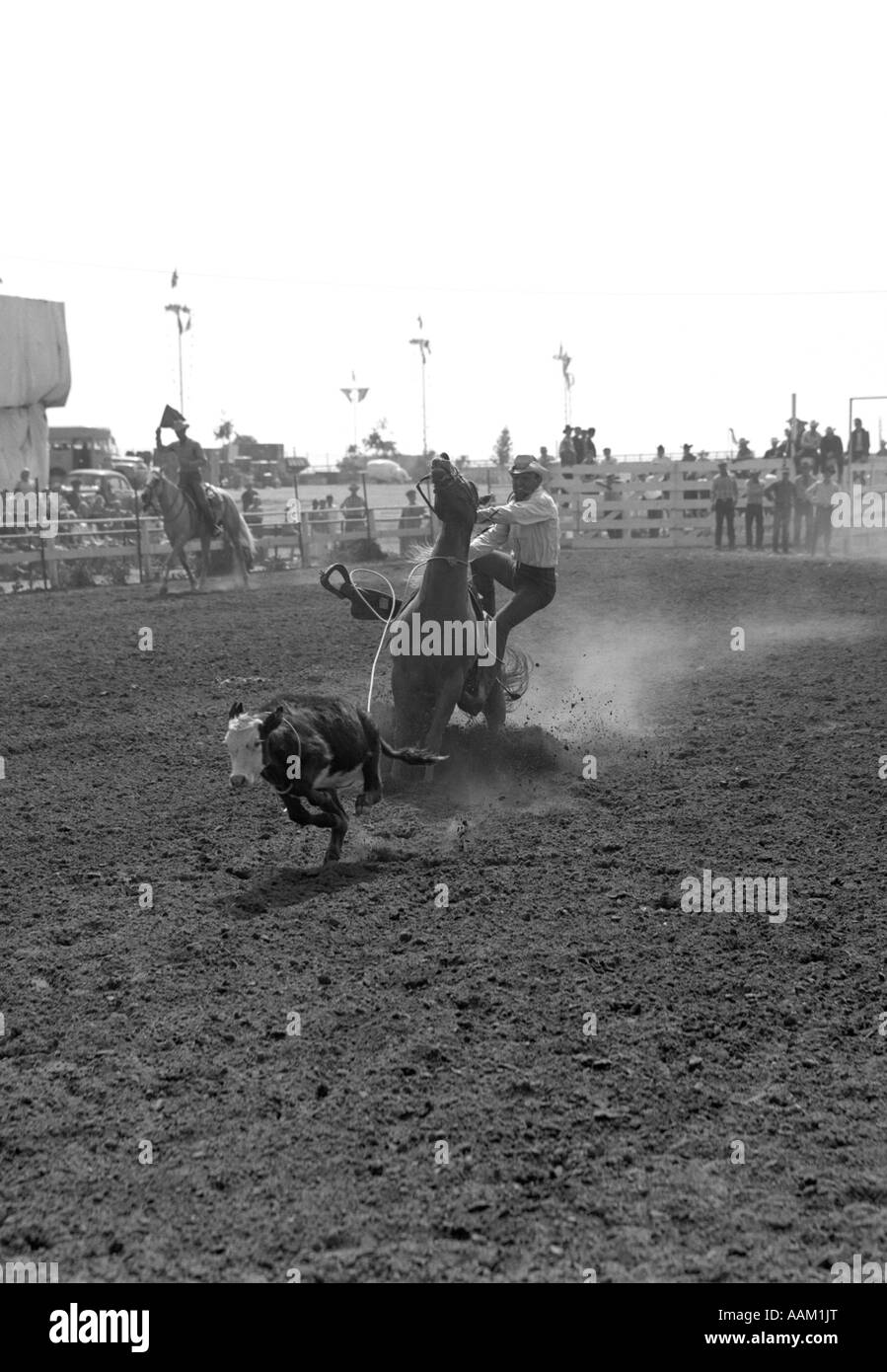 Calf roping event rodeo Black and White Stock Photos & Images - Alamy