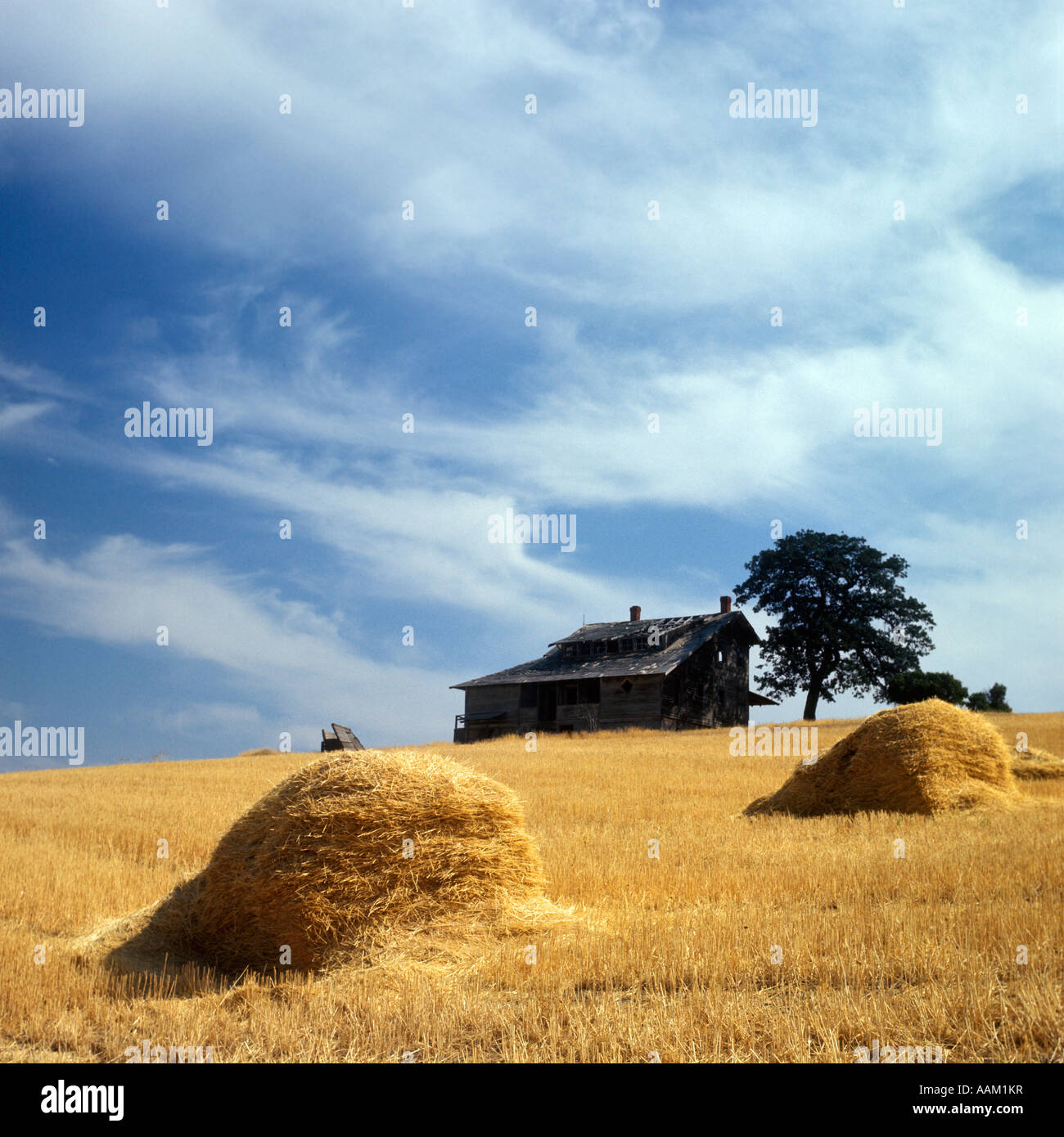 1960s farming usa hi-res stock photography and images - Alamy