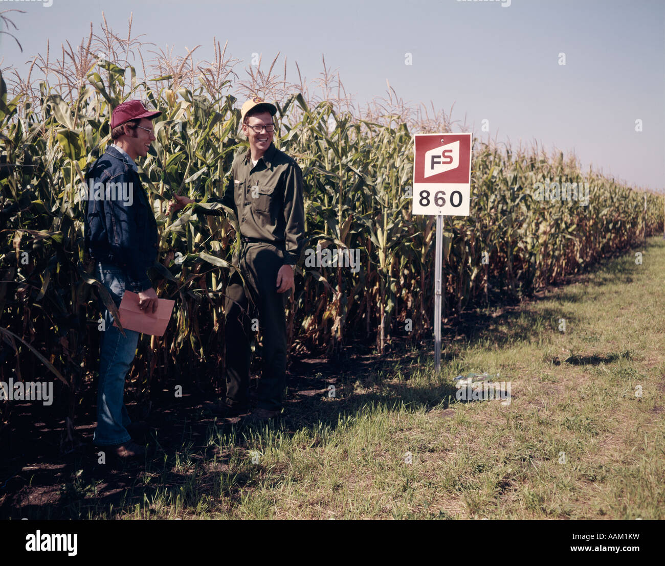 1970s FARMERS CHECKING DEMONSTRATION PLOTS OF HYBRID CORN Stock Photo ...