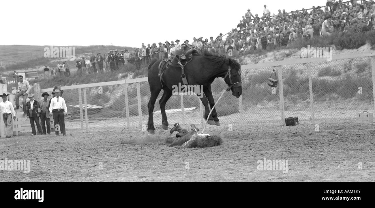 1950s RODEO COWBOY ON THE GROUND UNDER A HORSE HAVING FALLEN OFF A ...