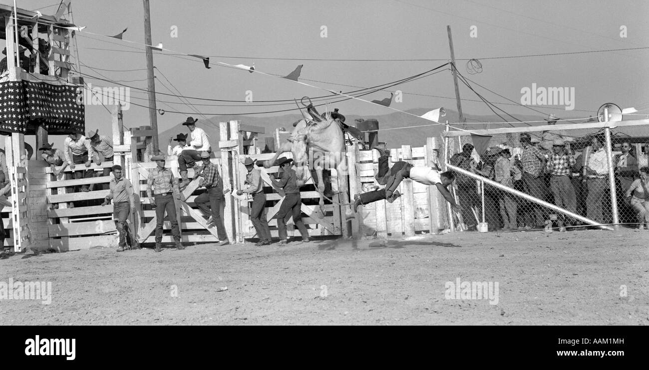 1950s COWBOY FALLING OFF WHITE BUCKING BRONCO HORSE BARSTOW RODEO 1953 ...