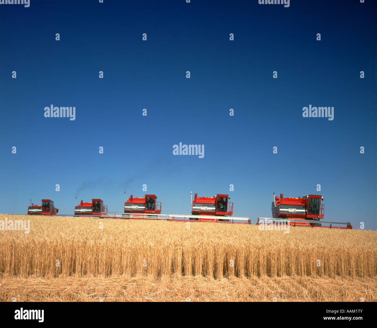 WHEAT HARVESTING COMBINES NEBRASKA Stock Photo - Alamy