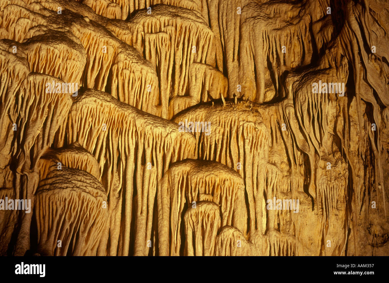 Limestone formations in Carlsbad Caverns New Mexico Carlsbad Caverns ...