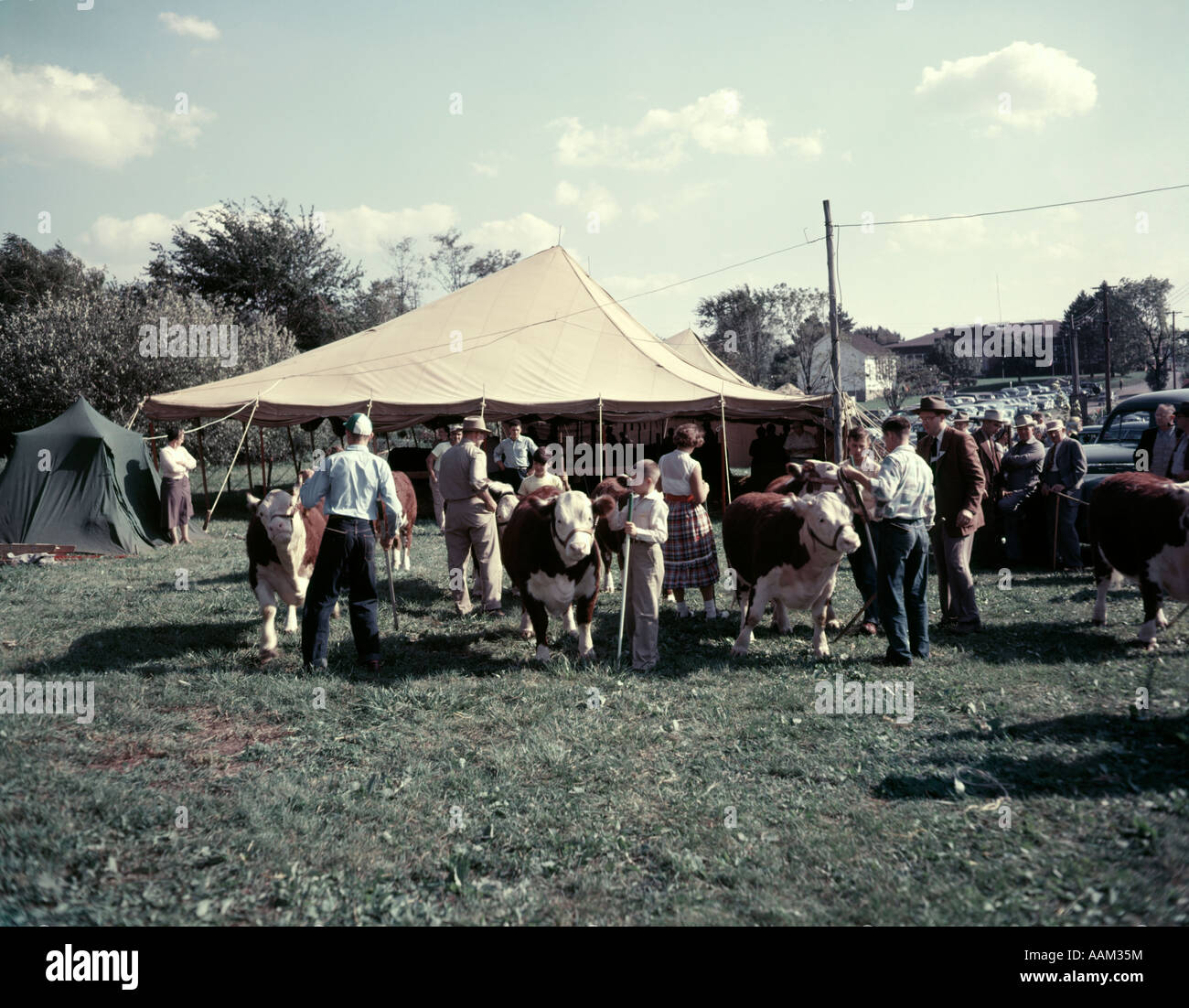 County fair 1950s hi-res stock photography and images - Alamy