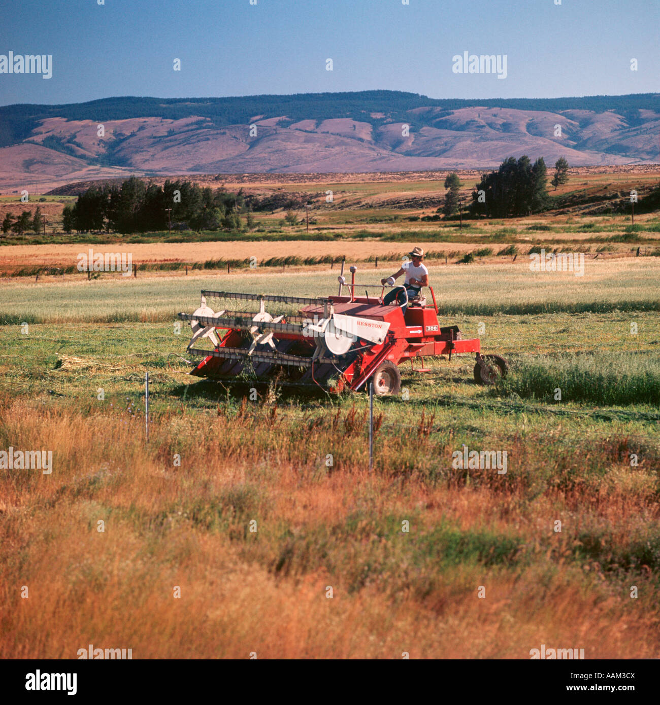 1970s MAN FARMER OPERATING HAY BALER Stock Photo - Alamy