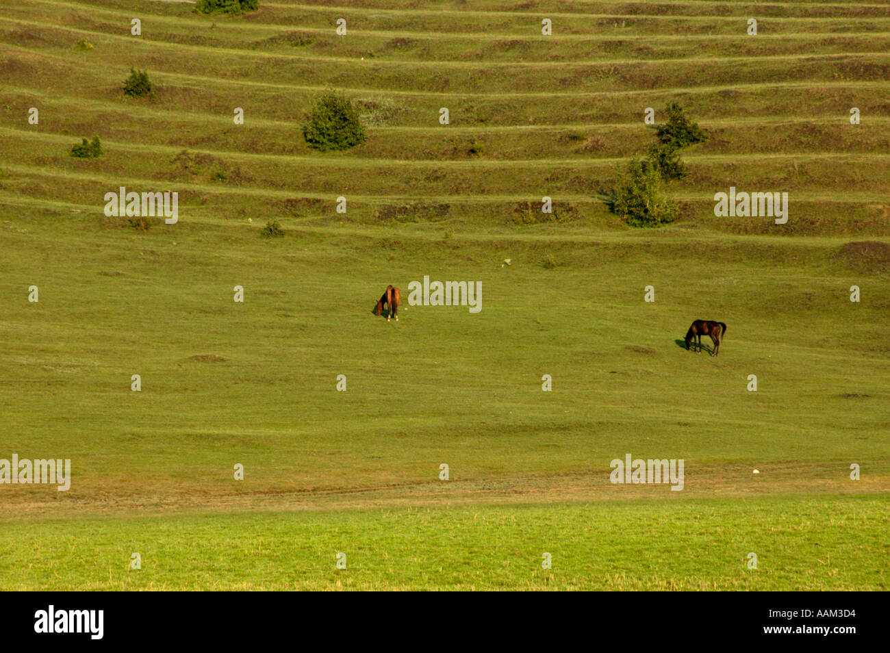 Moldova pasture land terraces Stock Photo - Alamy