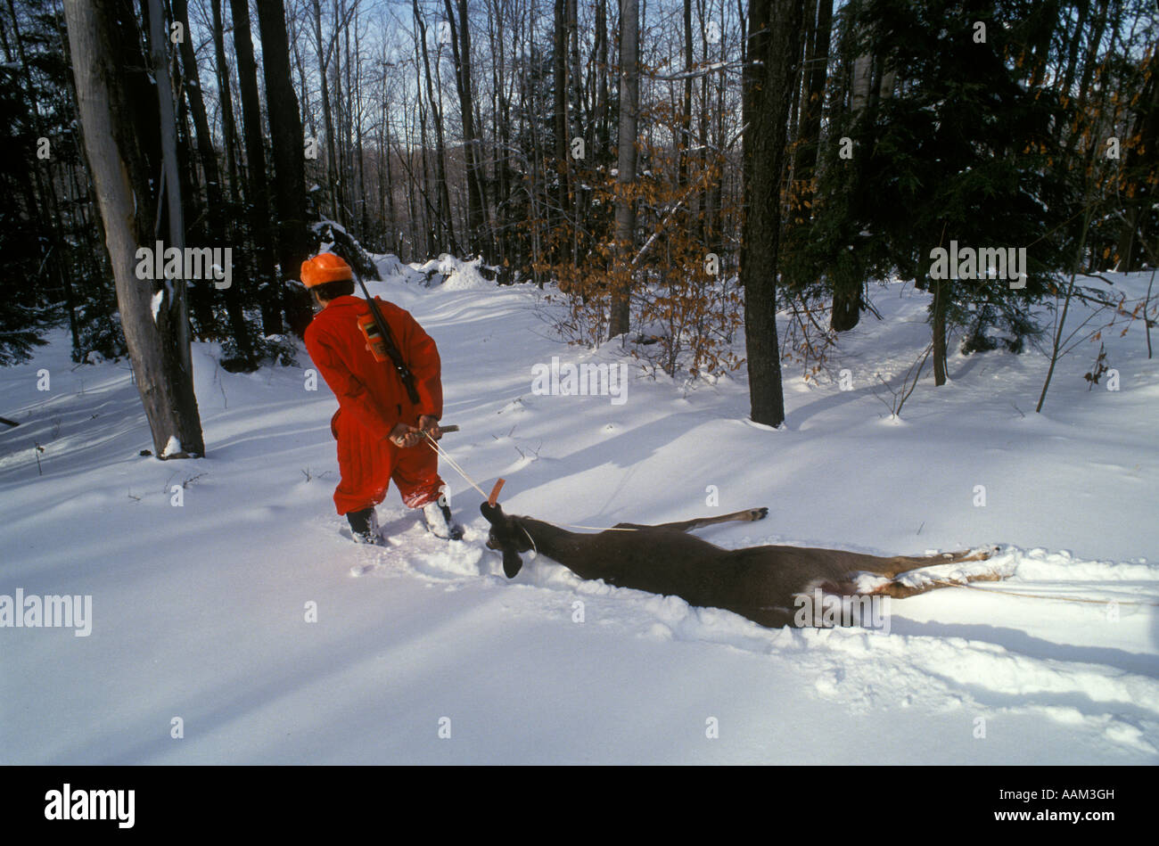 Deer hunter hi-res stock photography and images - Alamy