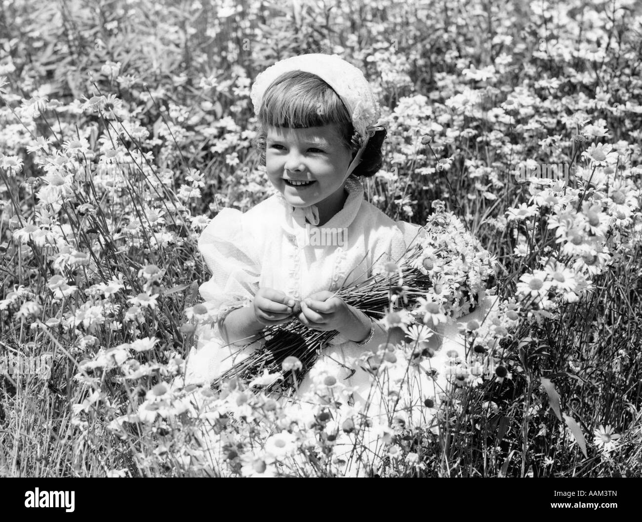 1940s 4 YEAR OLD GIRL SITTING IN FIELD OF WILD FLOWERS HOLDING BOUQUET 1940s 4 YEAR OLD GIRL SITTING IN FIELD OF WILD FLOWERS HOLDING BOUQUET