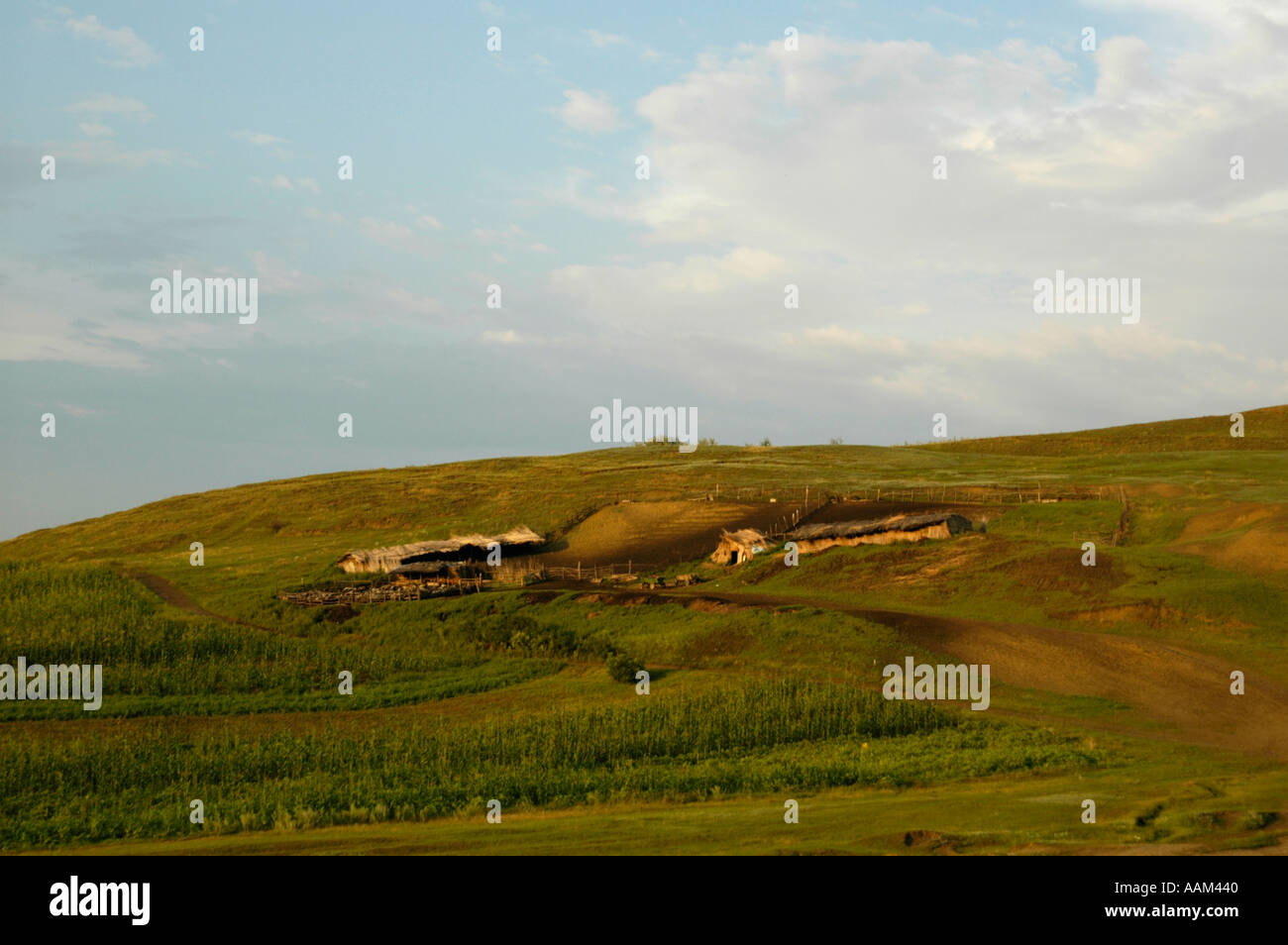 Moldova, agraric landscape, shepherd Stock Photo - Alamy