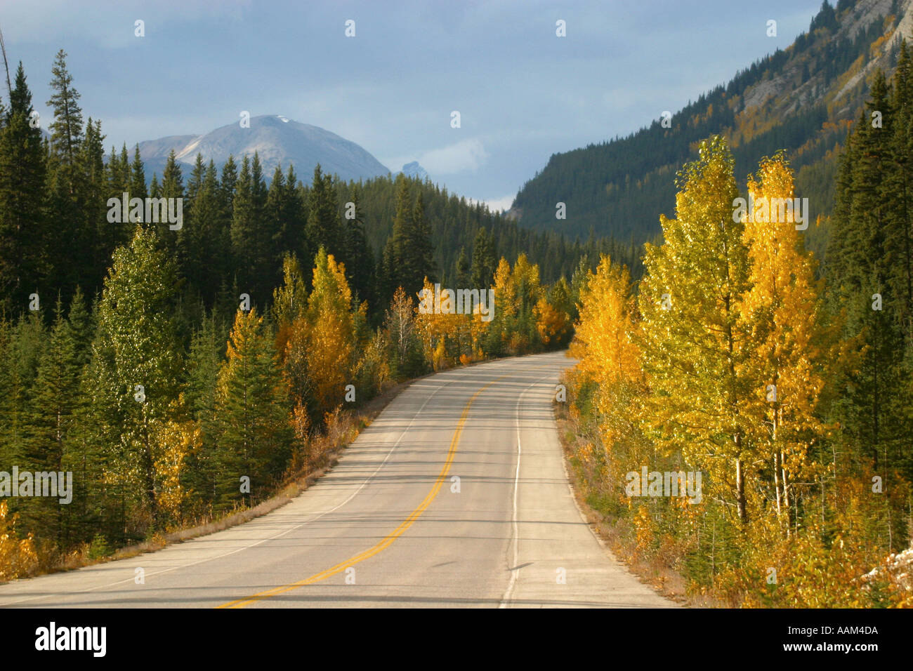 Horizontal Autumn colors in Alberta Canada North America Stock Photo ...