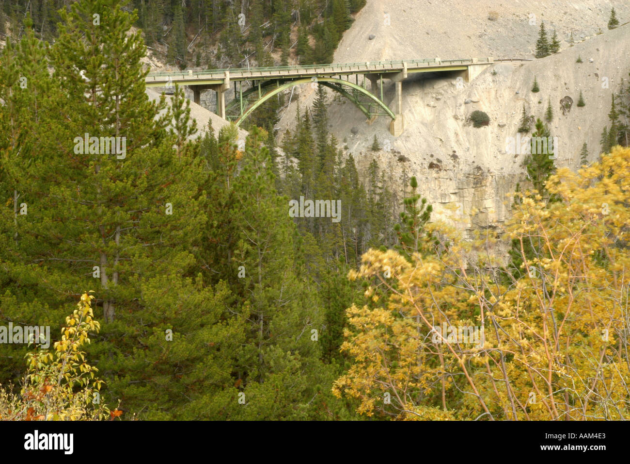 Autumn colors in Alberta Canada North America Stock Photo - Alamy