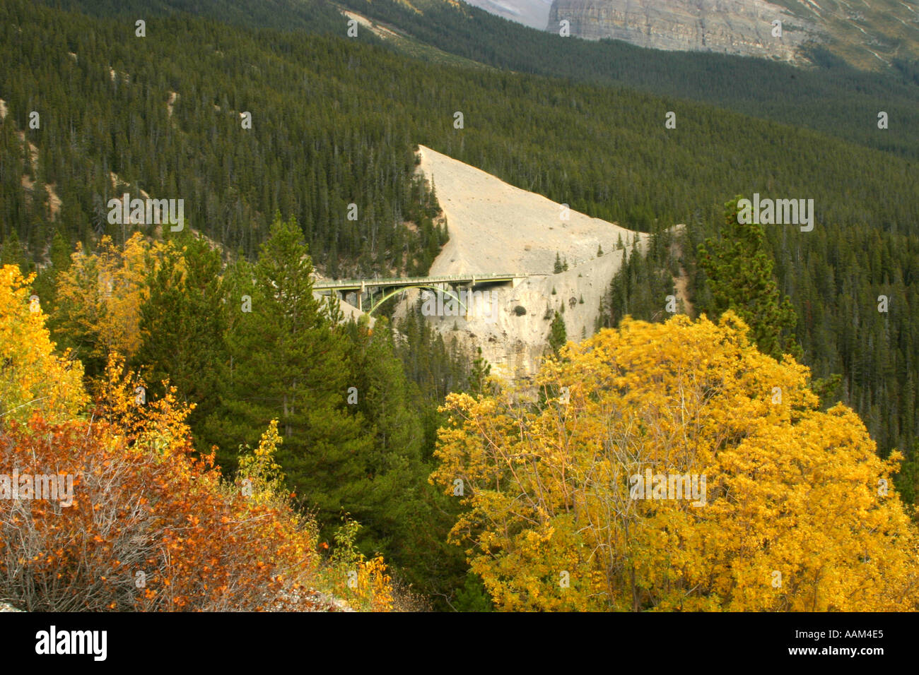 Autumn colors in Alberta Canada North America Stock Photo - Alamy