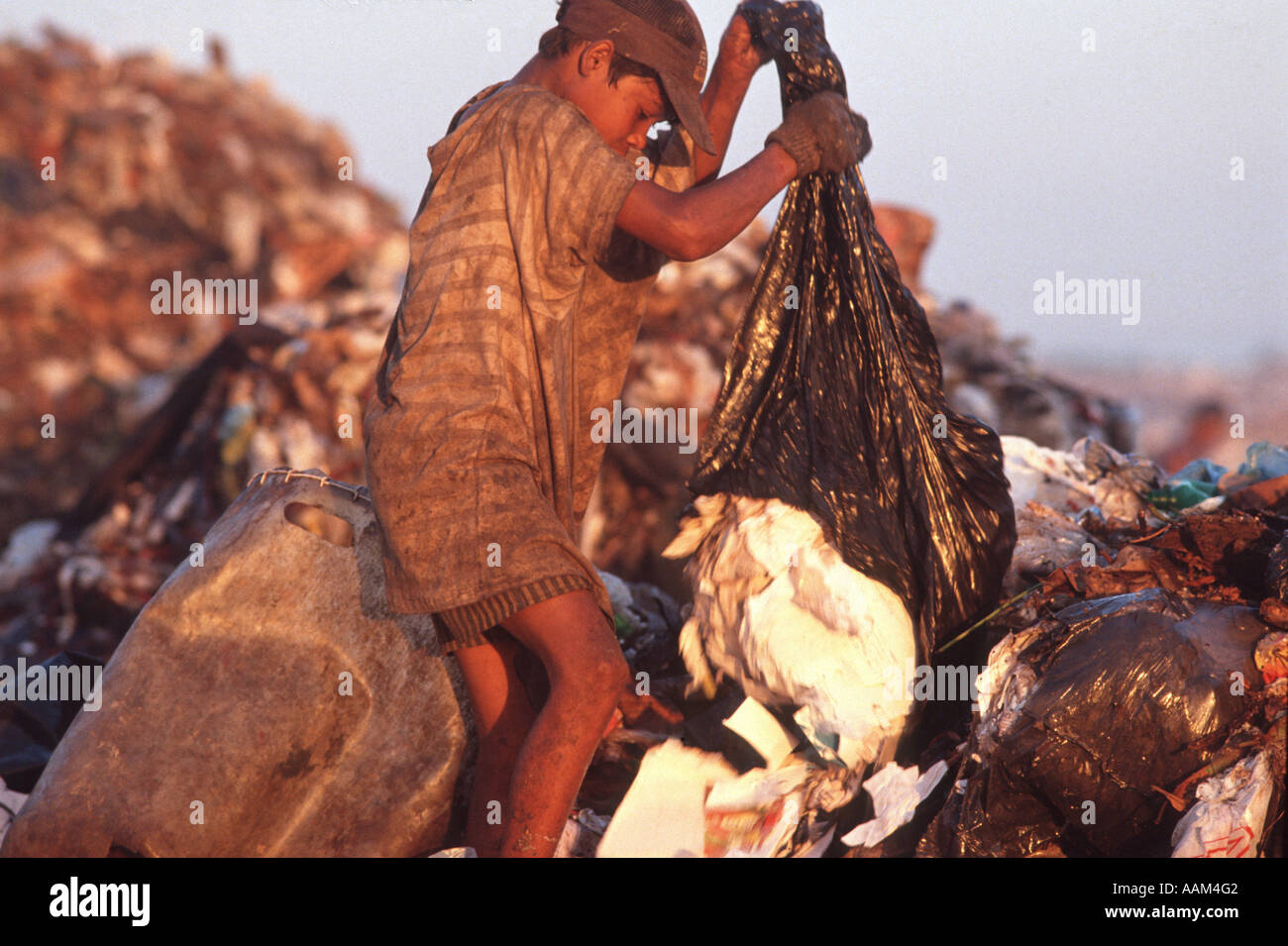 Brazil. Dark-skinned child works at garbage deposit ( dump ) collecting ...