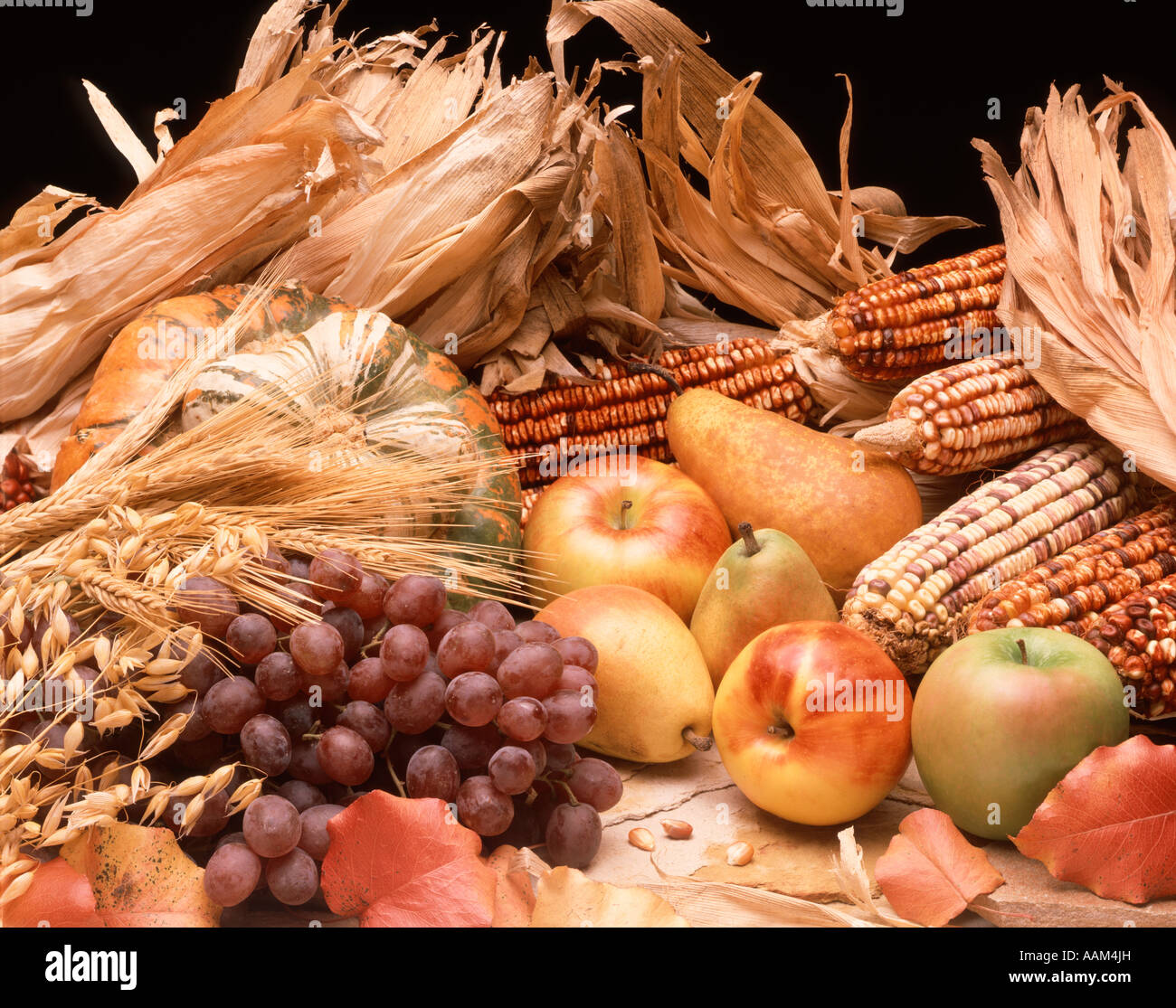 AUTUMN HARVEST FRUITS AND GRAINS Stock Photo - Alamy