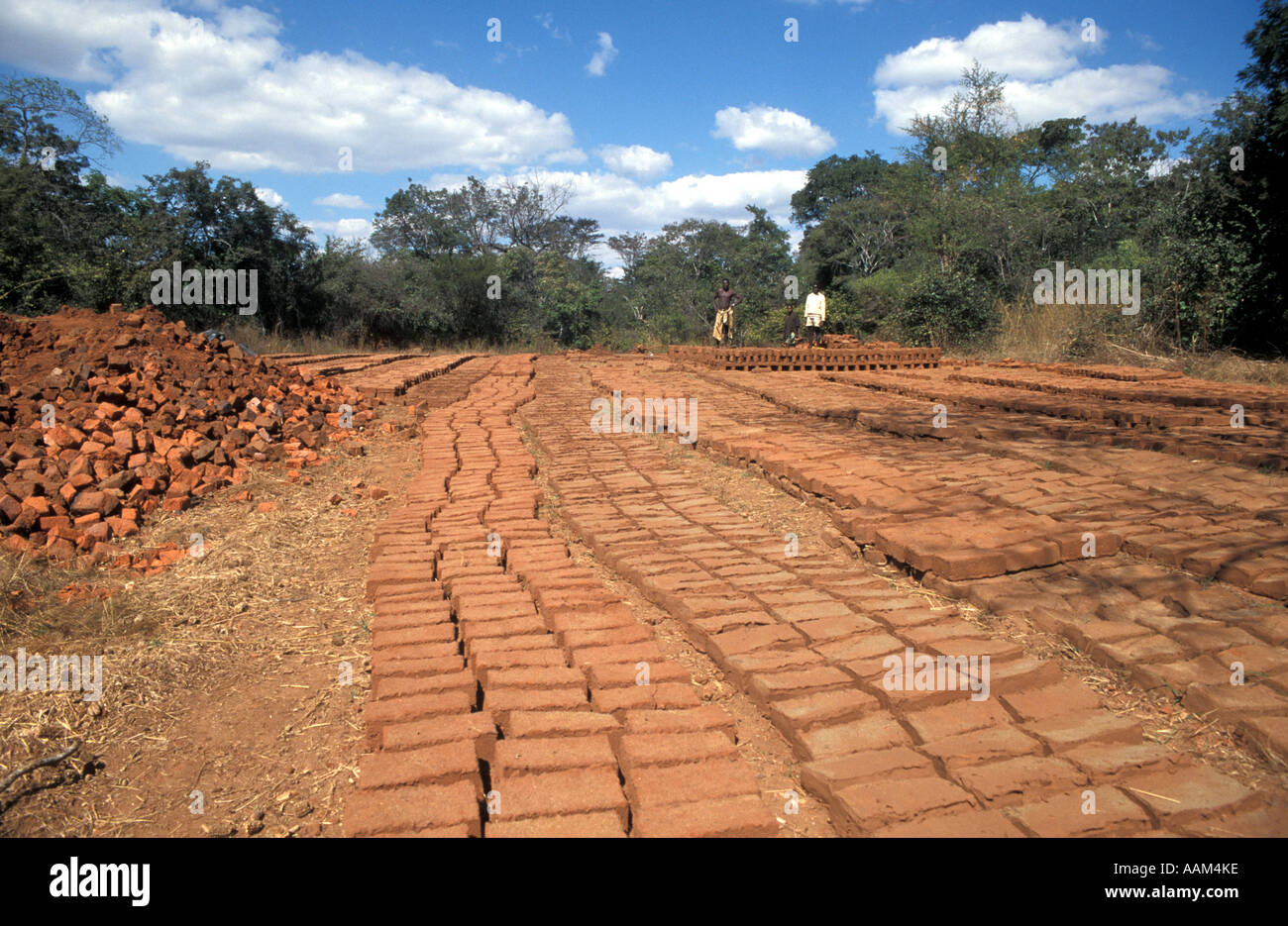 Bricks Sun Dry - Africa Handmade Brick Manufacturing Rural Zimbabwe ...