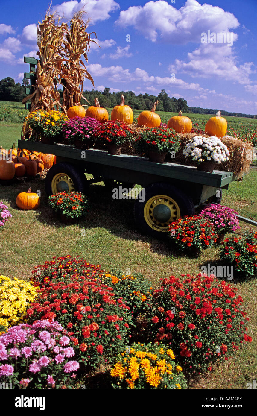 AUTUMN HARVEST DISPLAY AT ROADSIDE PRODUCE MARKET WAGON WITH FLOWERS ...