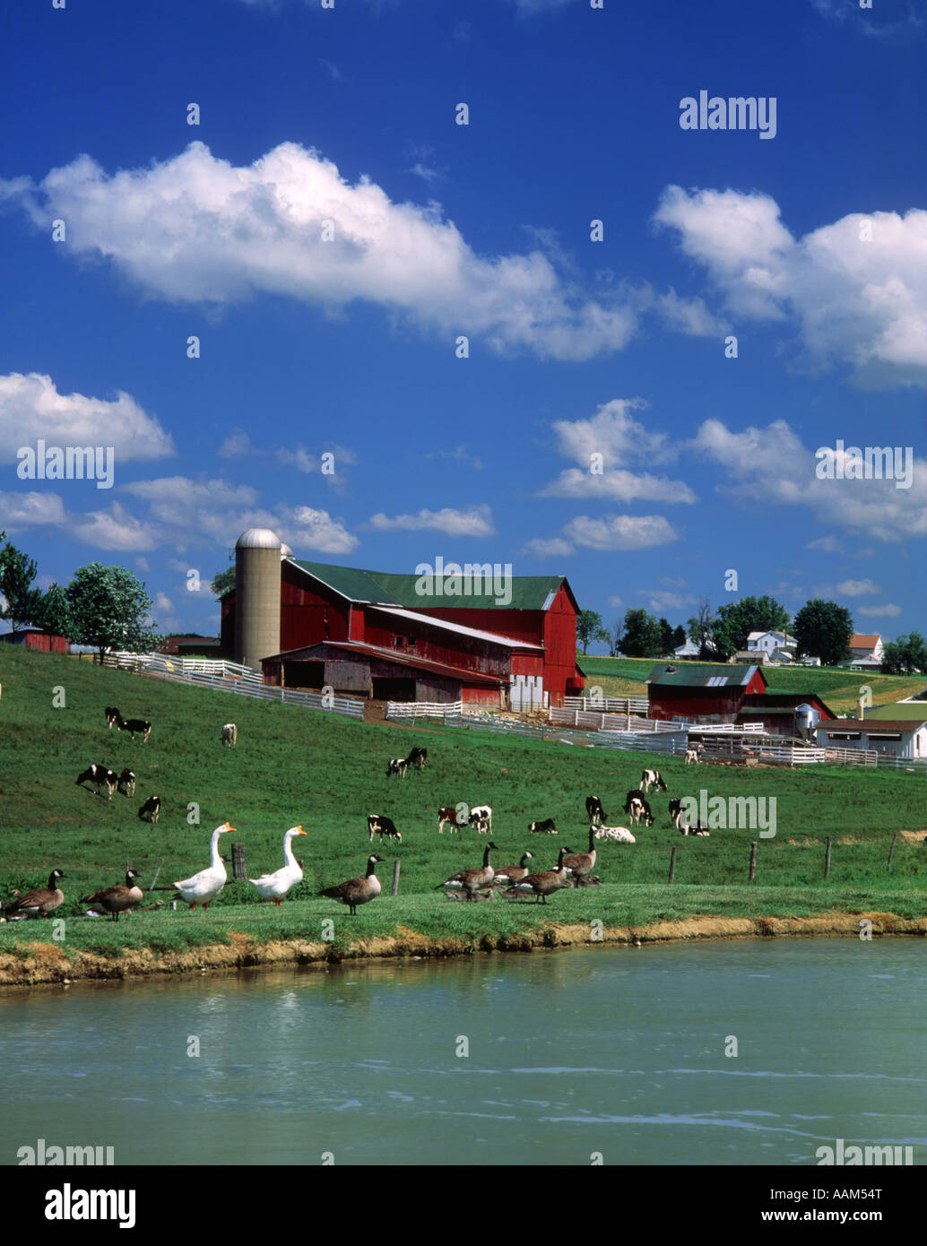 Bunker silo home hi-res stock photography and images - Alamy