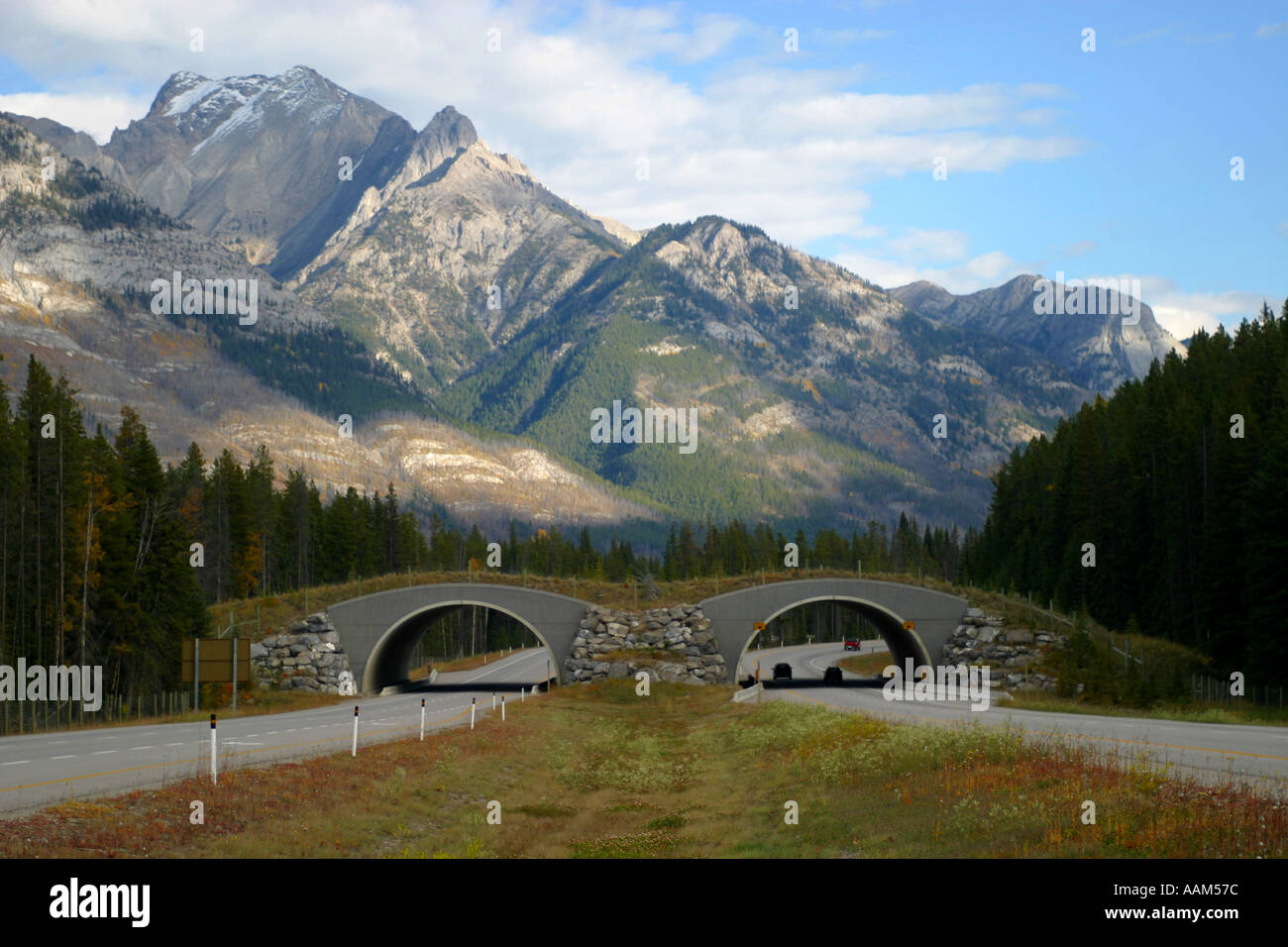 Horizontal Wildlife overpass Banff National Park Alberta Canada North ...