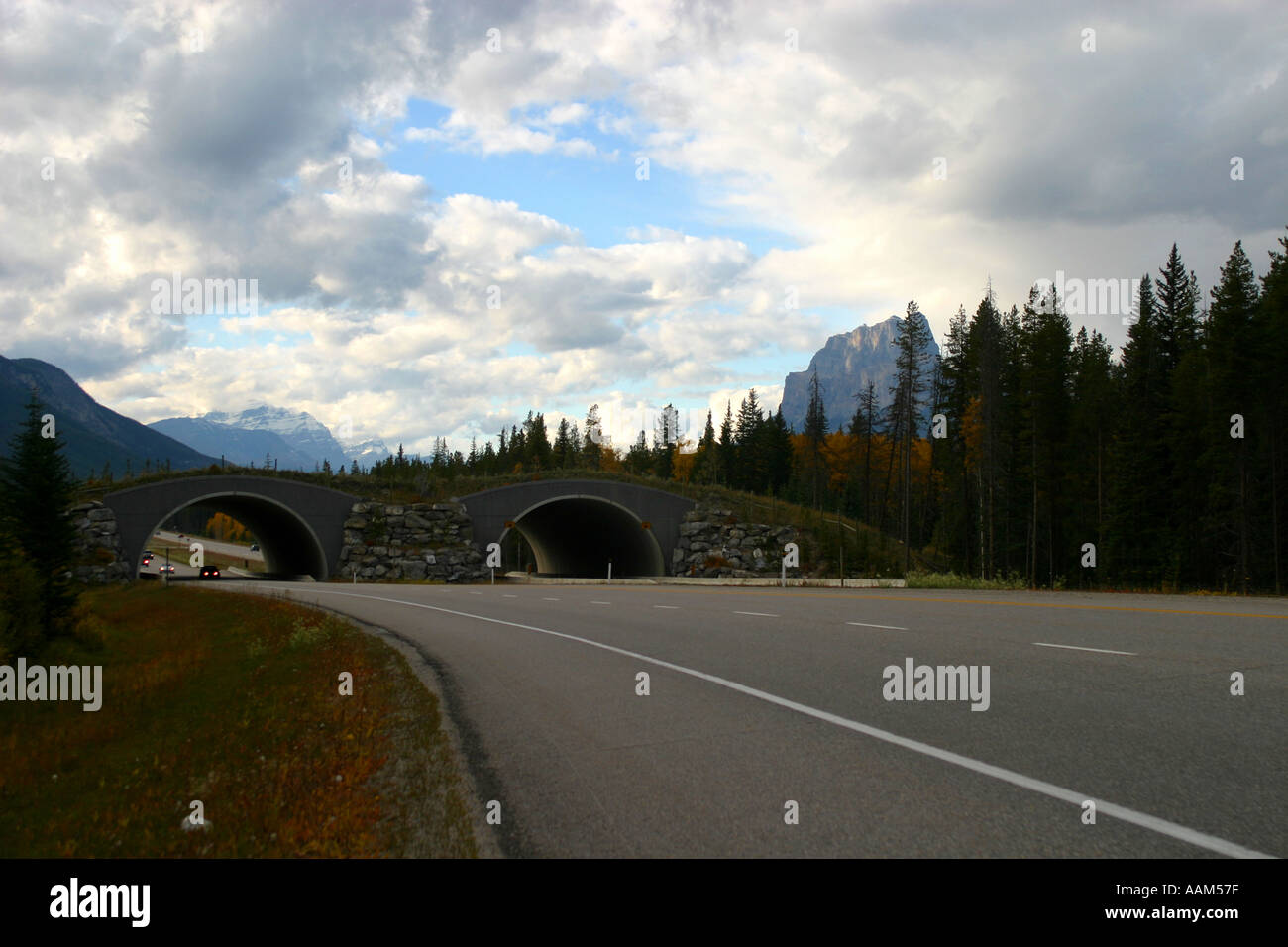 Horizontal Wildlife overpass Transcanada Highway Banff National Park ...