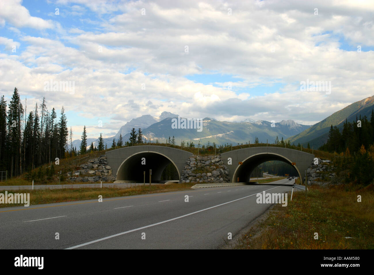 Horizontal Wildlife overpass Banff National Park Alberta Canada North ...