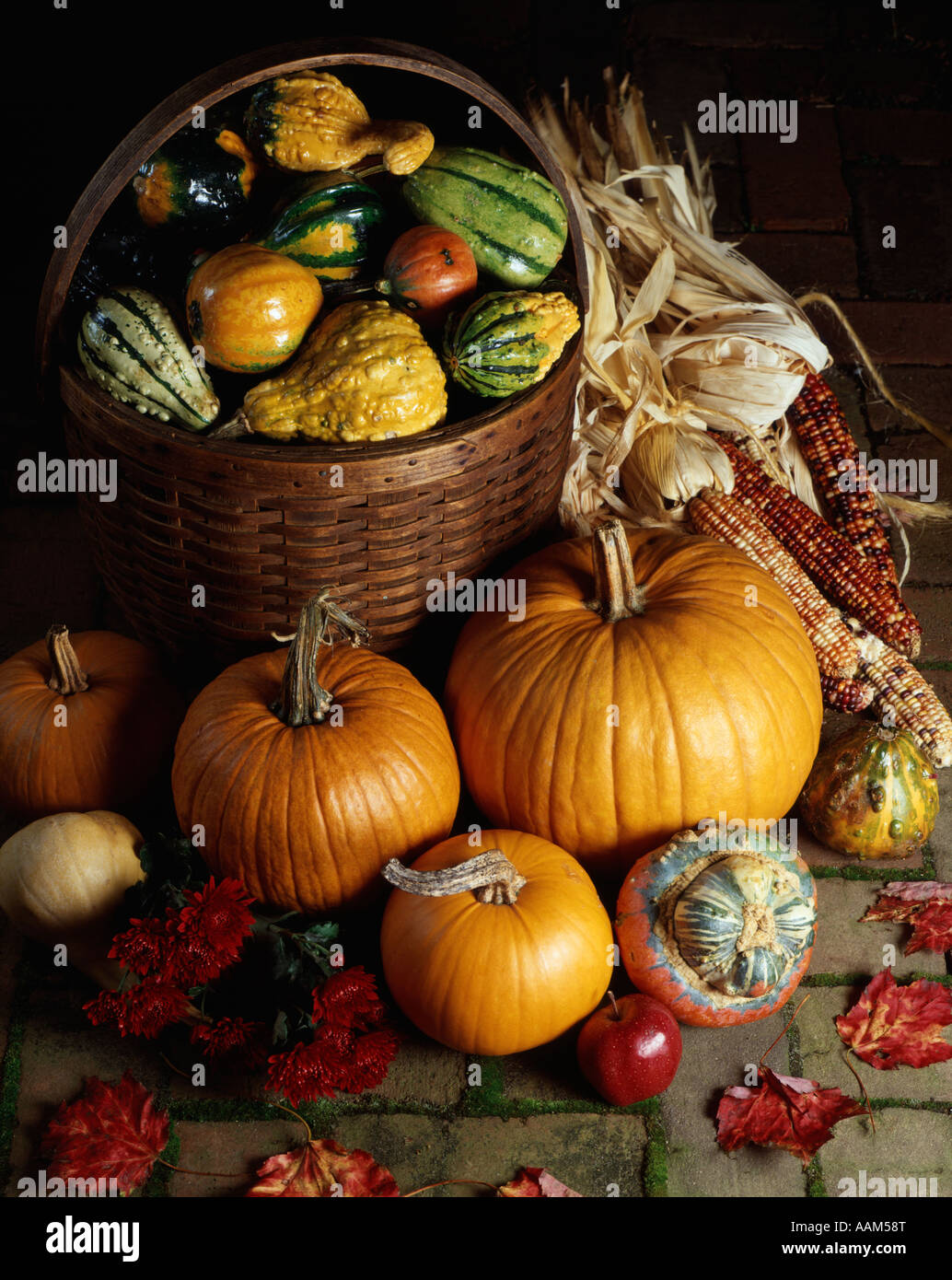 HARVEST STILL LIFE BASKET GOURDS SQUASH PUMPKINS PUMPKIN AUTUMN LEAVES ...