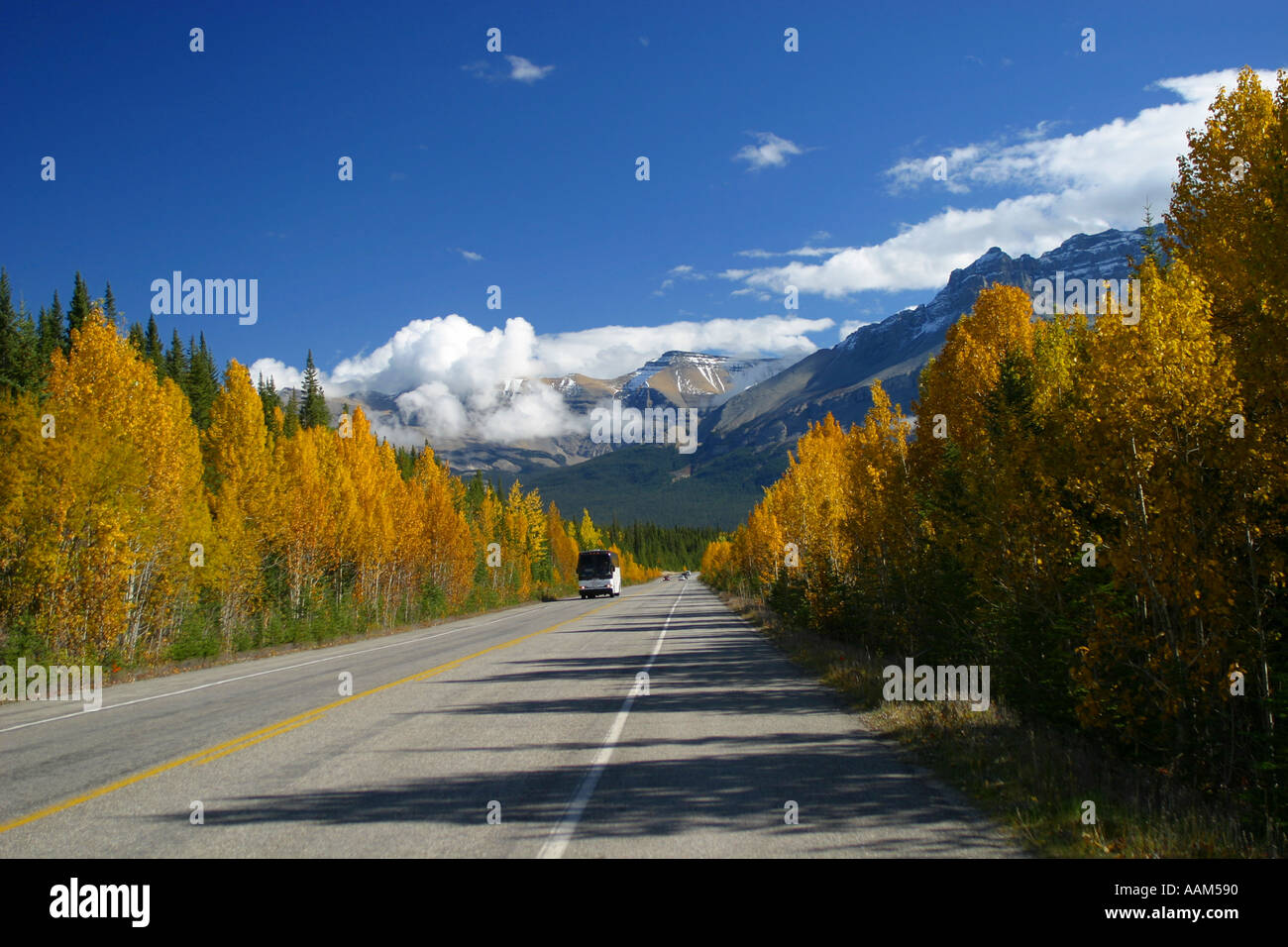 Horizontal Fall colors in Banff National Park Alberta Canada North ...